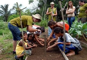 🥇 La chacra y el huerto: agricultura en la Amazonía - Del Amazonas