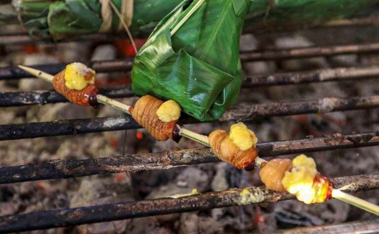 🥇 Gastronomía Amazónica de Colombia - Sabores nativos