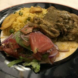 Lowland Paca or Agouti Paca (Cuniculus paca)