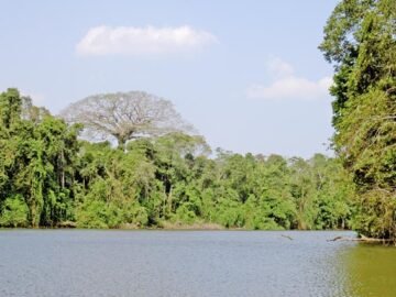Territorio Indígena Parque Nacional Isiboro Sécure - Del Amazonas