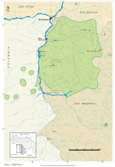 Los Piaroa, etnia indígena de Venezuela y Colombia - Del Amazonas