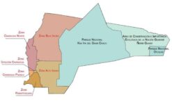 Los guaraníes: nación indígena amazónica con una lengua en expansión