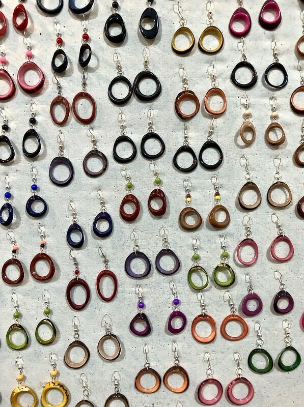 Tagua o marfil vegetal: la semilla más poderosa del Amazonas