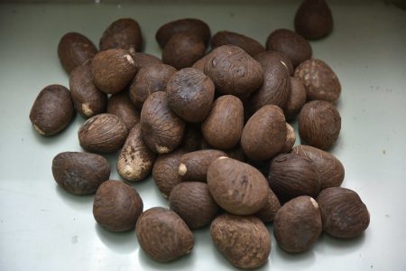 Tagua nut: powerful Amazonian vegetable ivory